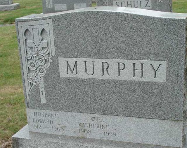 Search: Search - Sysoon Images (5) [en]