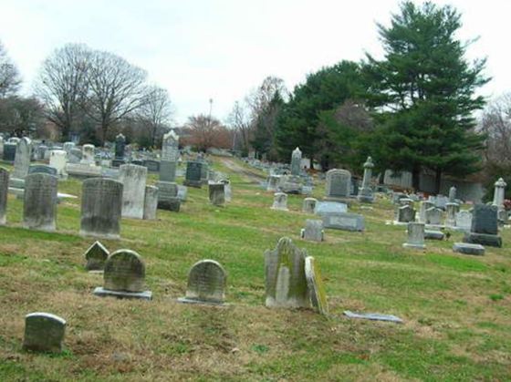 Newark Cemetery, Directory 85716 - Sysoon